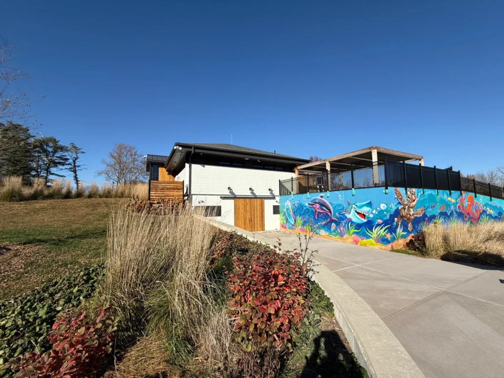 Projects - edmSTUDIO